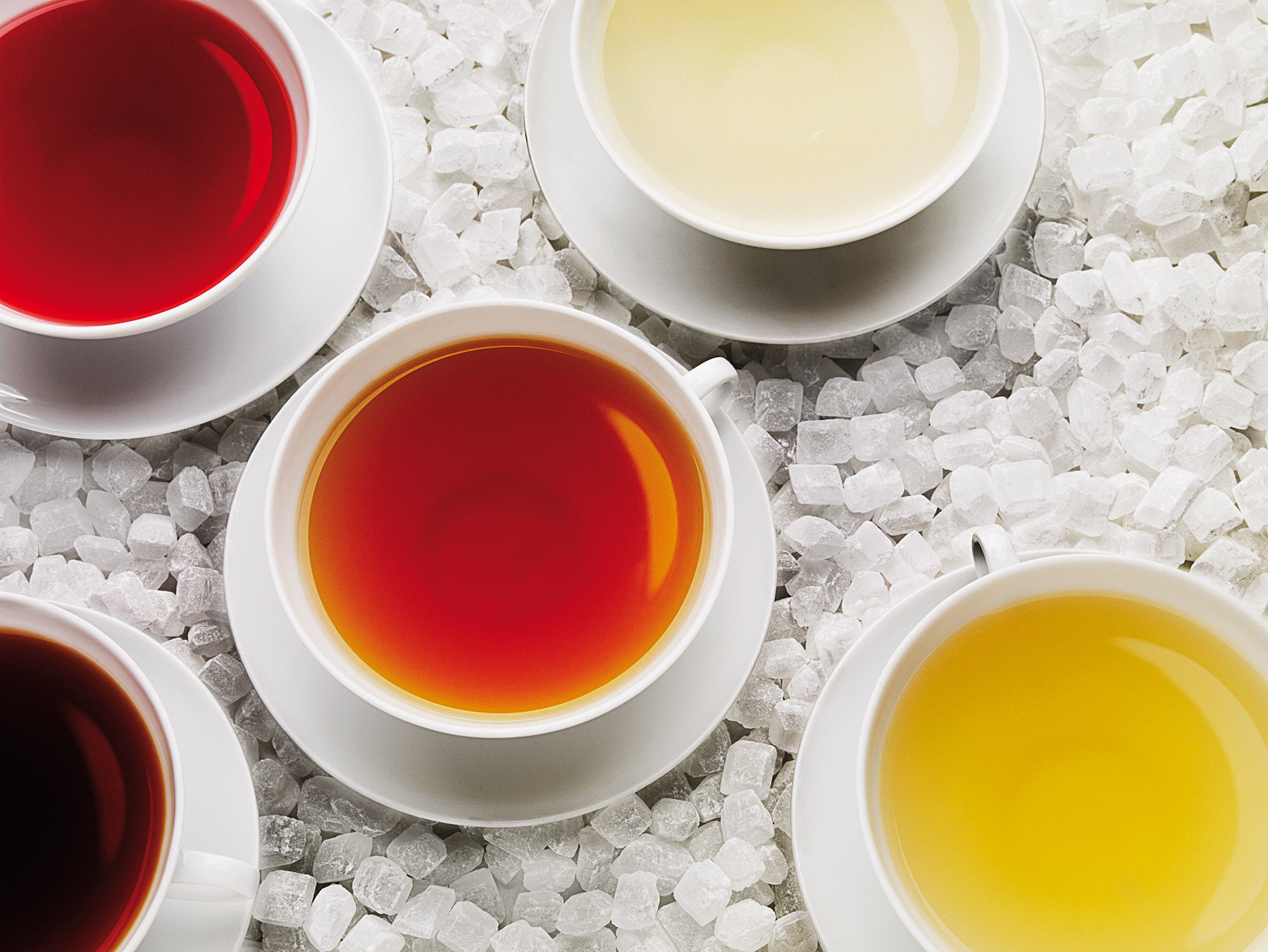 HoReCa - Demmers Teahouse